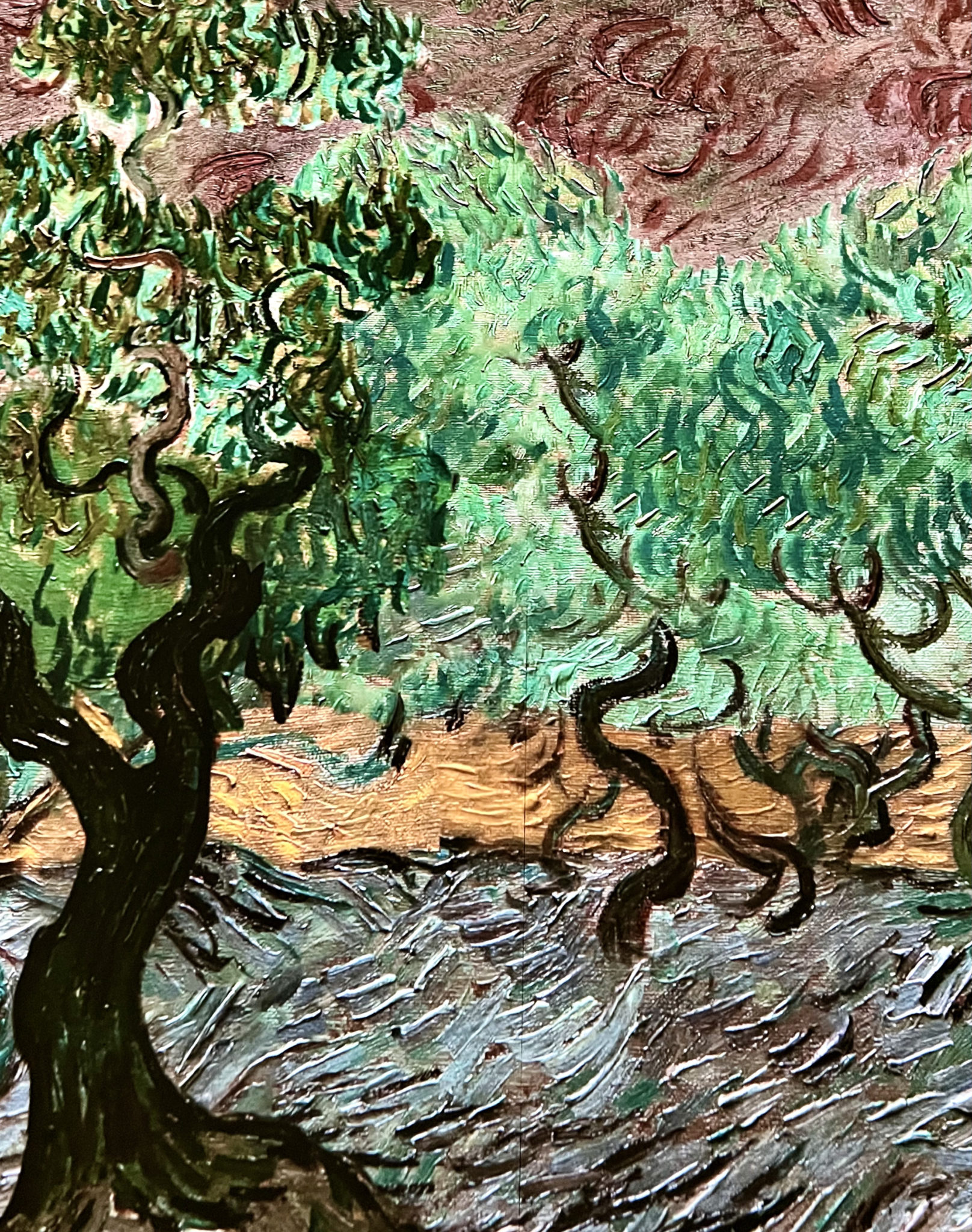 Review Of The Original Immersive Van Gogh Exhibit - The Geographical Cure