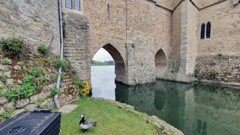 Visiting Leeds Castle, The Complete Guide - The Geographical Cure