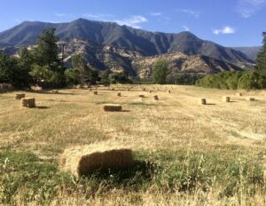 One Day In Ojai Itinerary Best Things To Do In Californias Idyllic