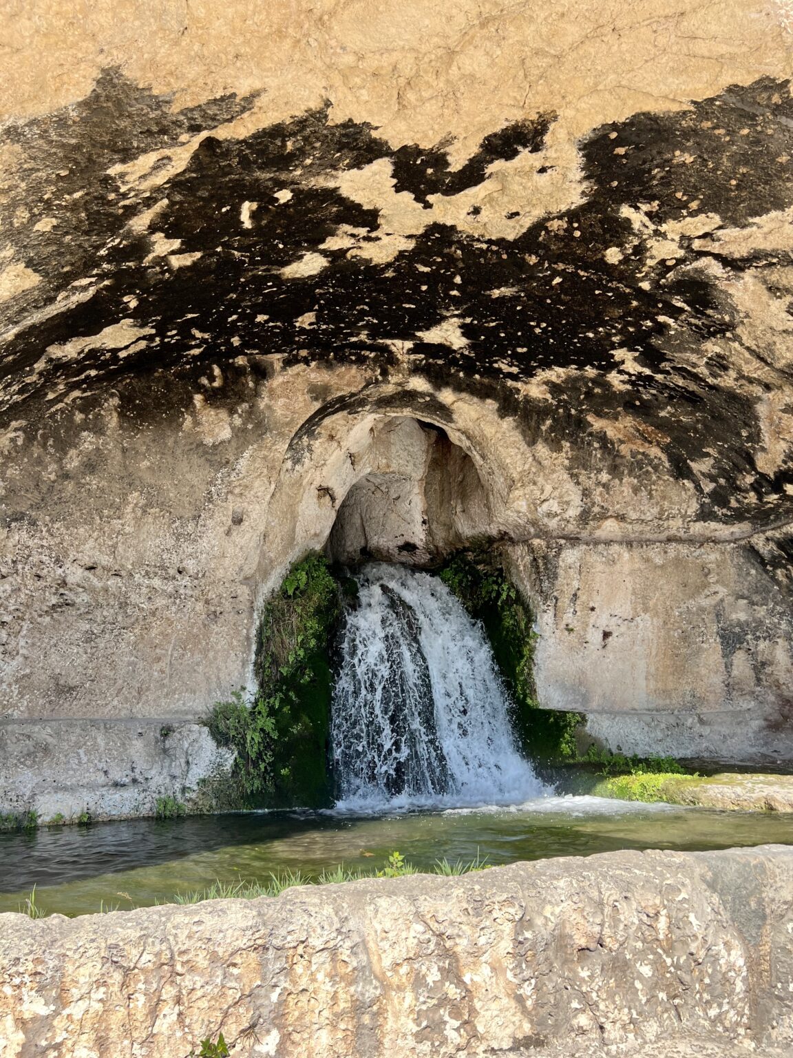 Visitor's Guide To Neapolis Archaeological Park in Syracuse Sicily ...