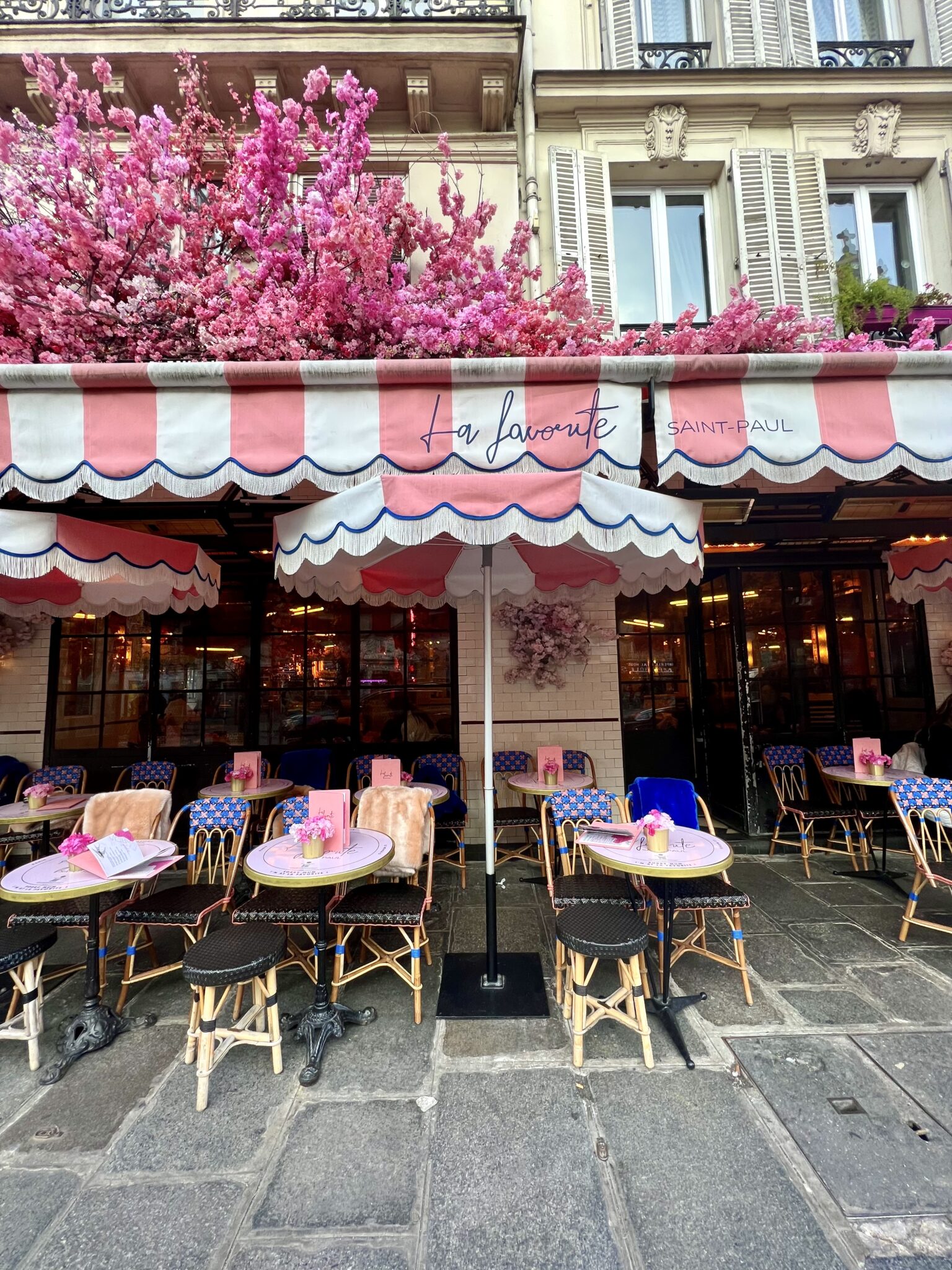 30+ Best And Most Beautiful Cafes In Paris - The Geographical Cure