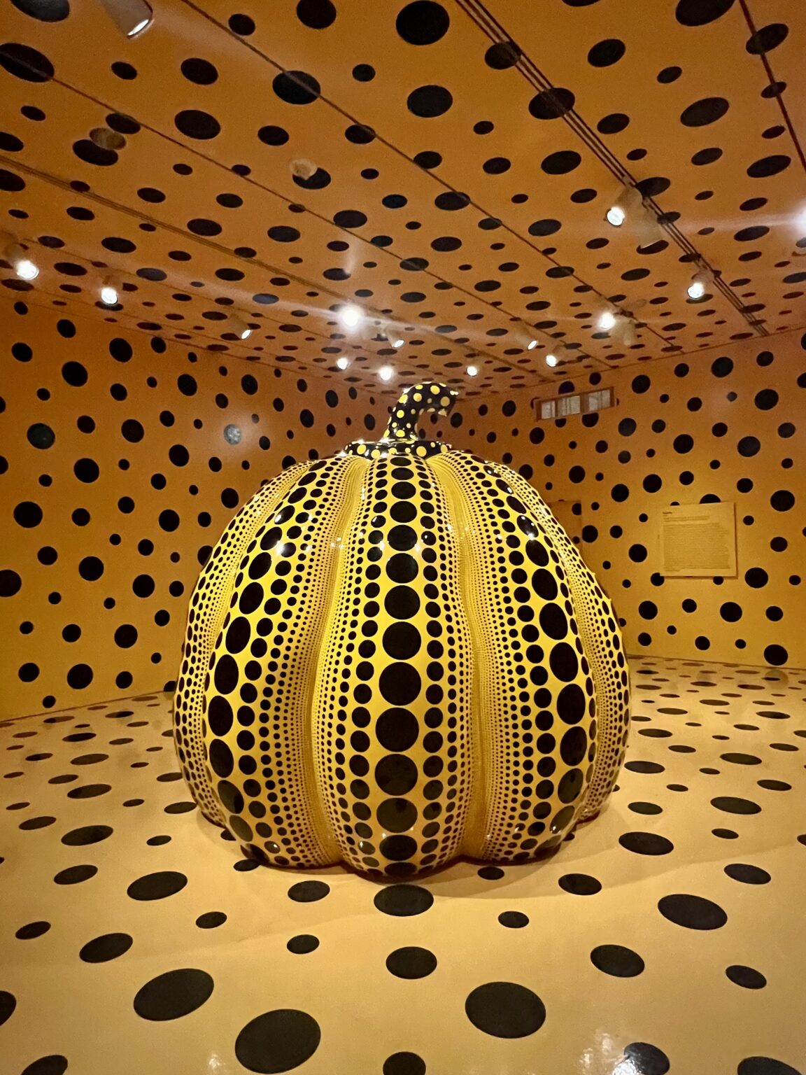 Yayoi Kusama’s Top Artworks: Infinity, Obsession & Vindication - The ...