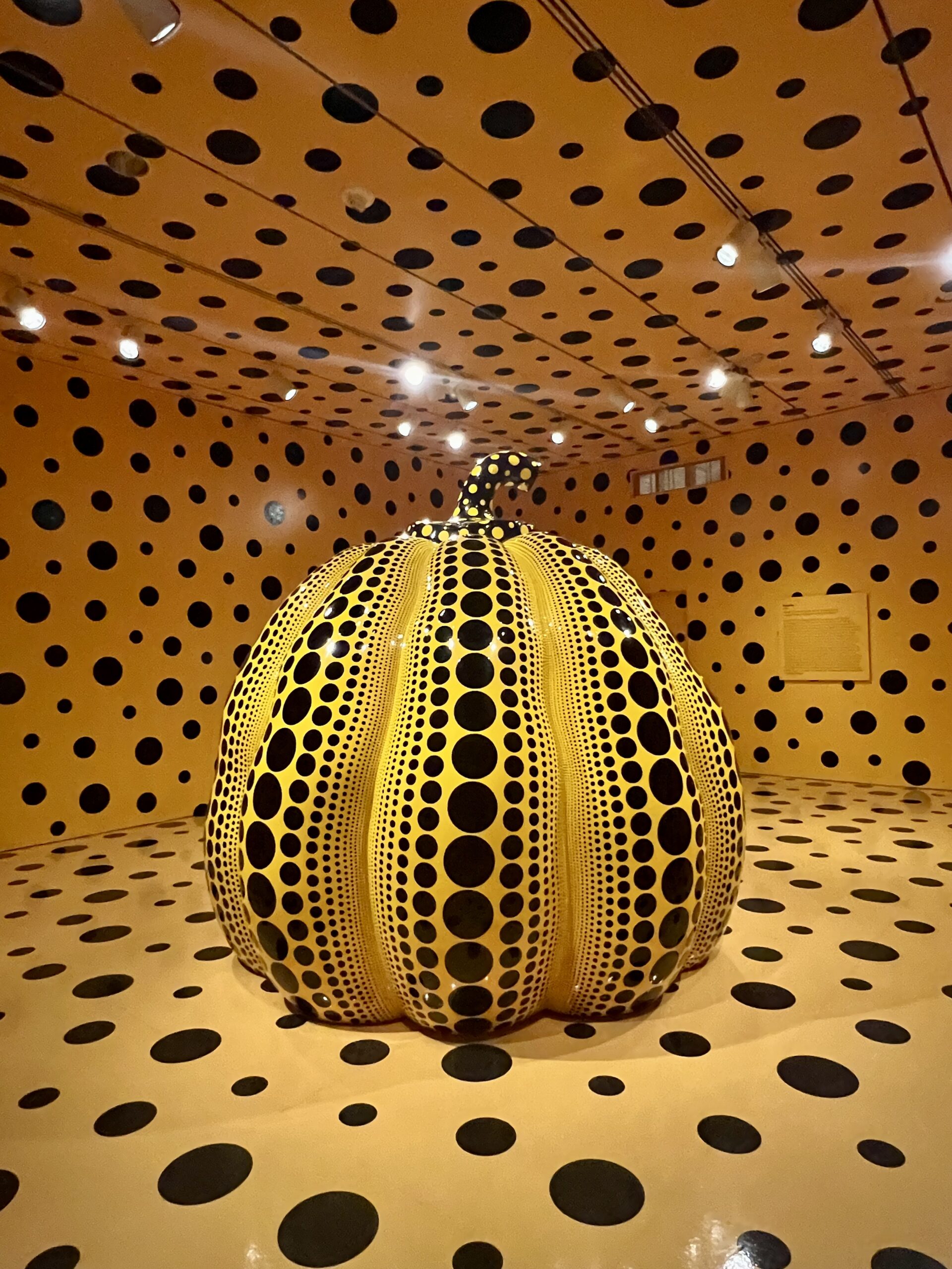Yayoi Kusama’s Top Artworks: Infinity, Obsession & Vindication - The ...