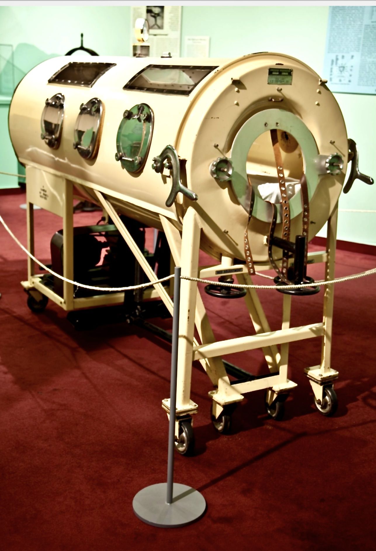 Guide To The Mutter Museum, Philadelphia's Medical History Museum - The ...