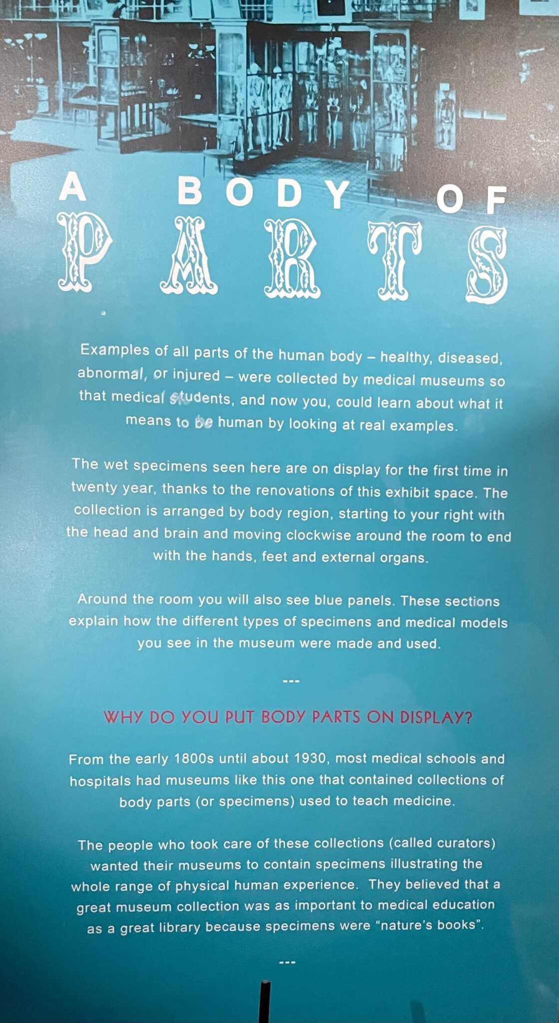 Guide To The Mutter Museum, Philadelphia's Medical History Museum - The ...