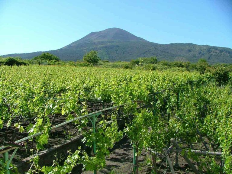 Why You Need To Visit The Campania Region Of Southern Italy - The ...