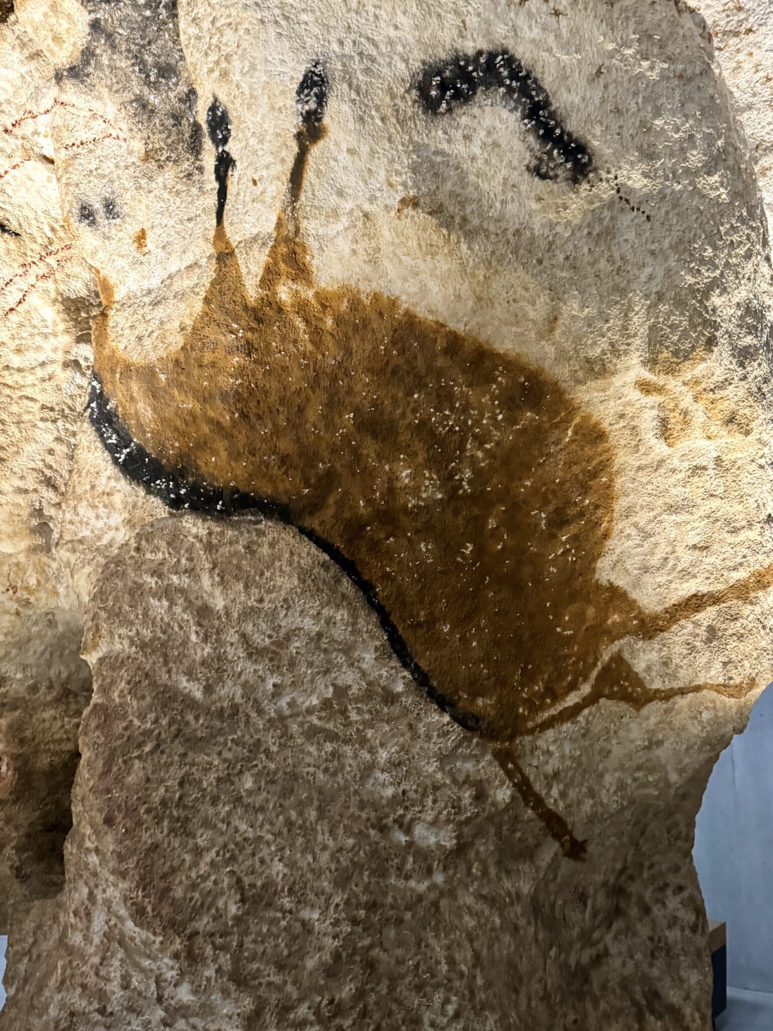 Guide To Lascaux IV: What To See + Tips - The Geographical Cure