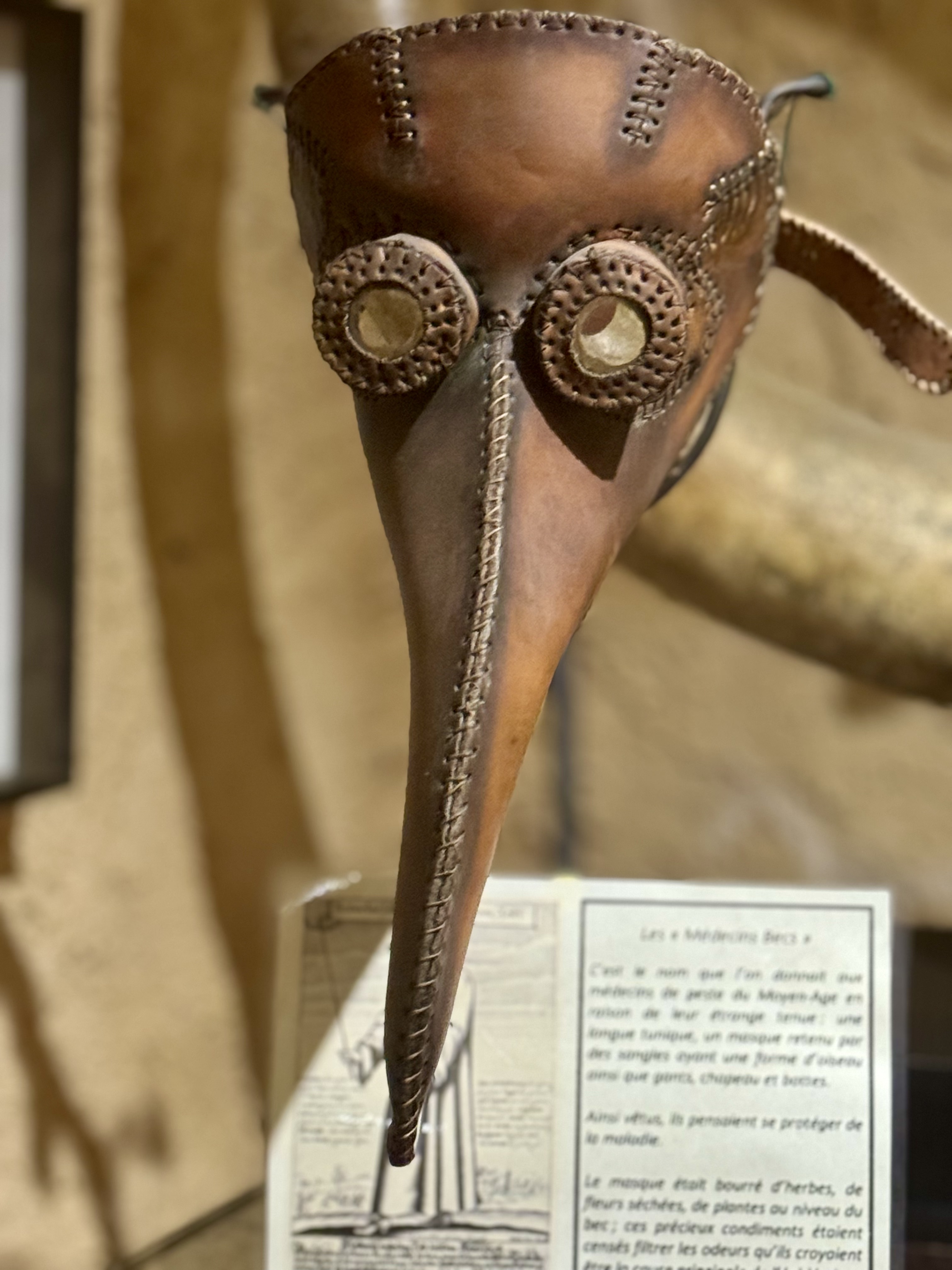 Visiting the Gisson Museum In Sarlat-la-Canéda, The Complete Guide ...