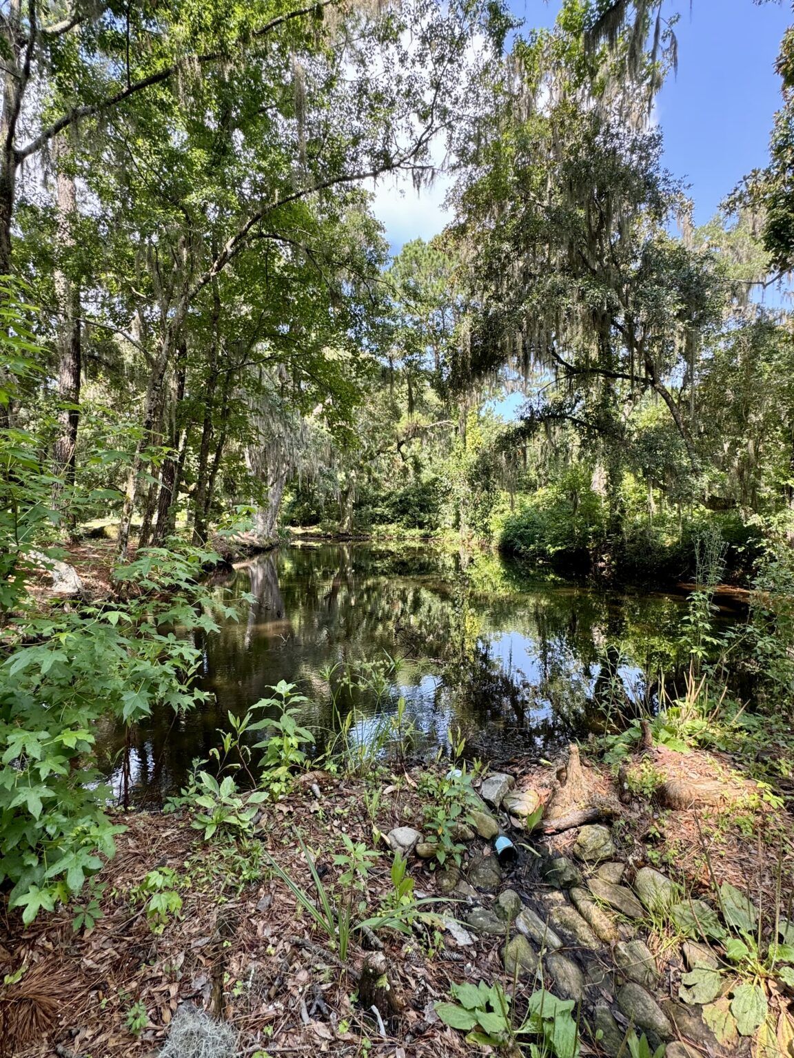 Guide To Magnolia Plantation: What To See & Do - The Geographical Cure