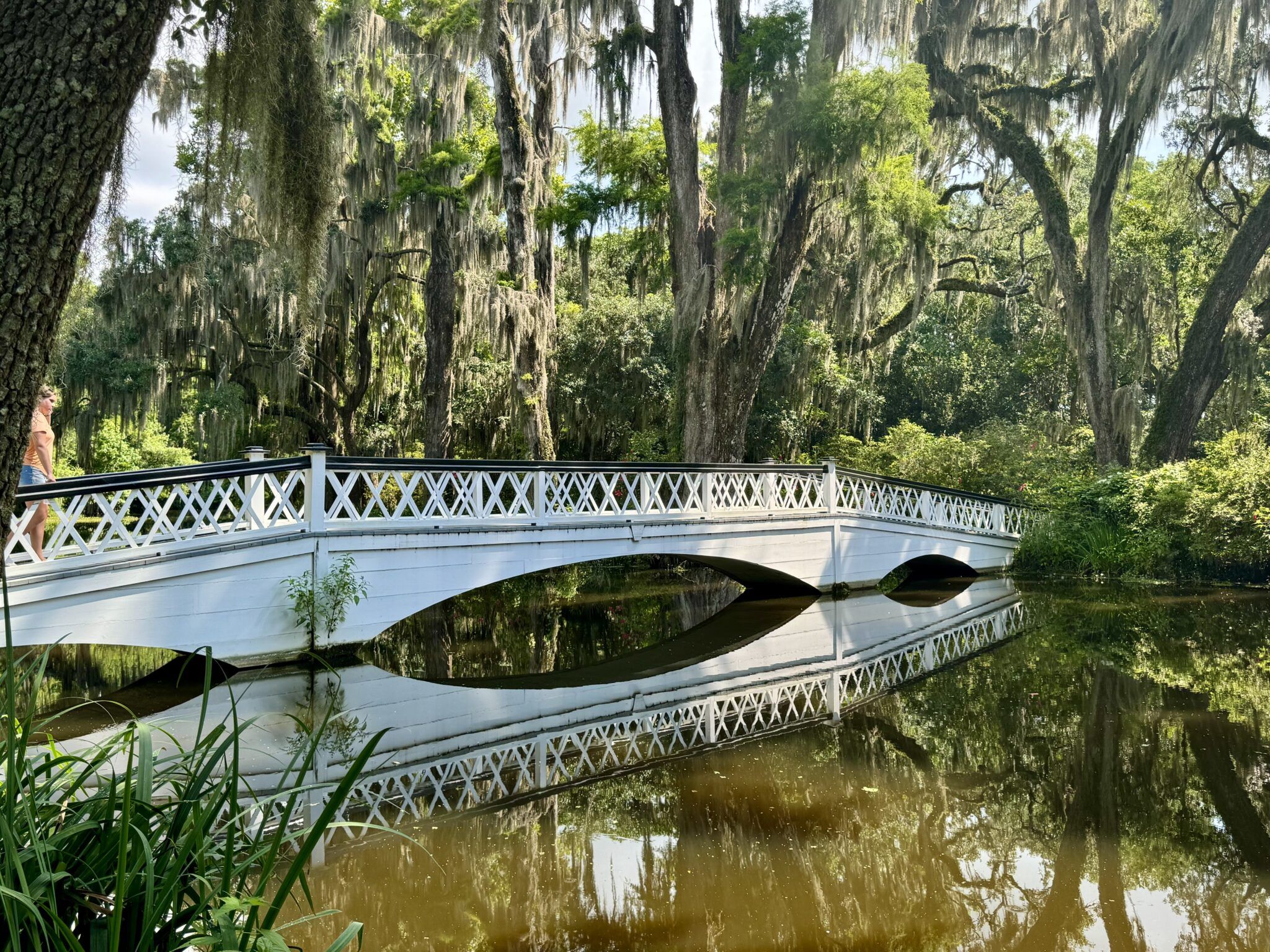 Guide To Magnolia Plantation: What To See & Do - The Geographical Cure