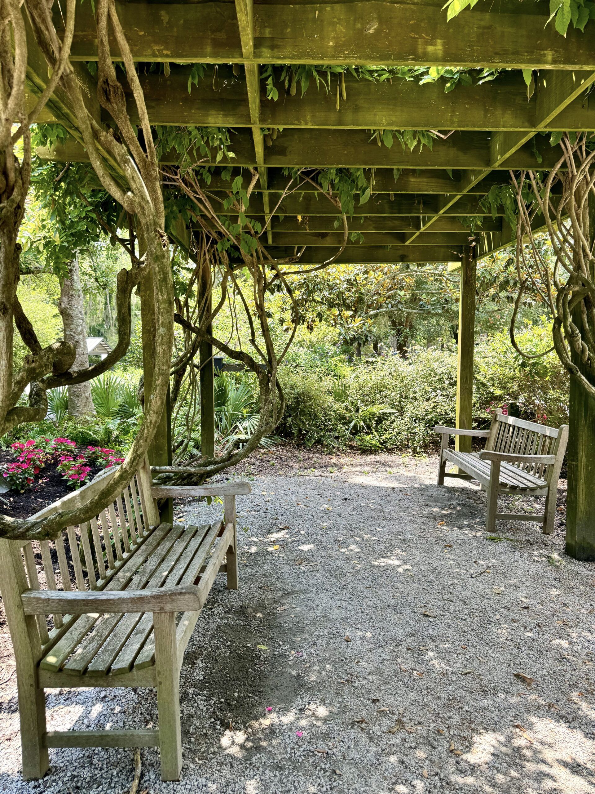 Guide To Magnolia Plantation: What To See & Do - The Geographical Cure