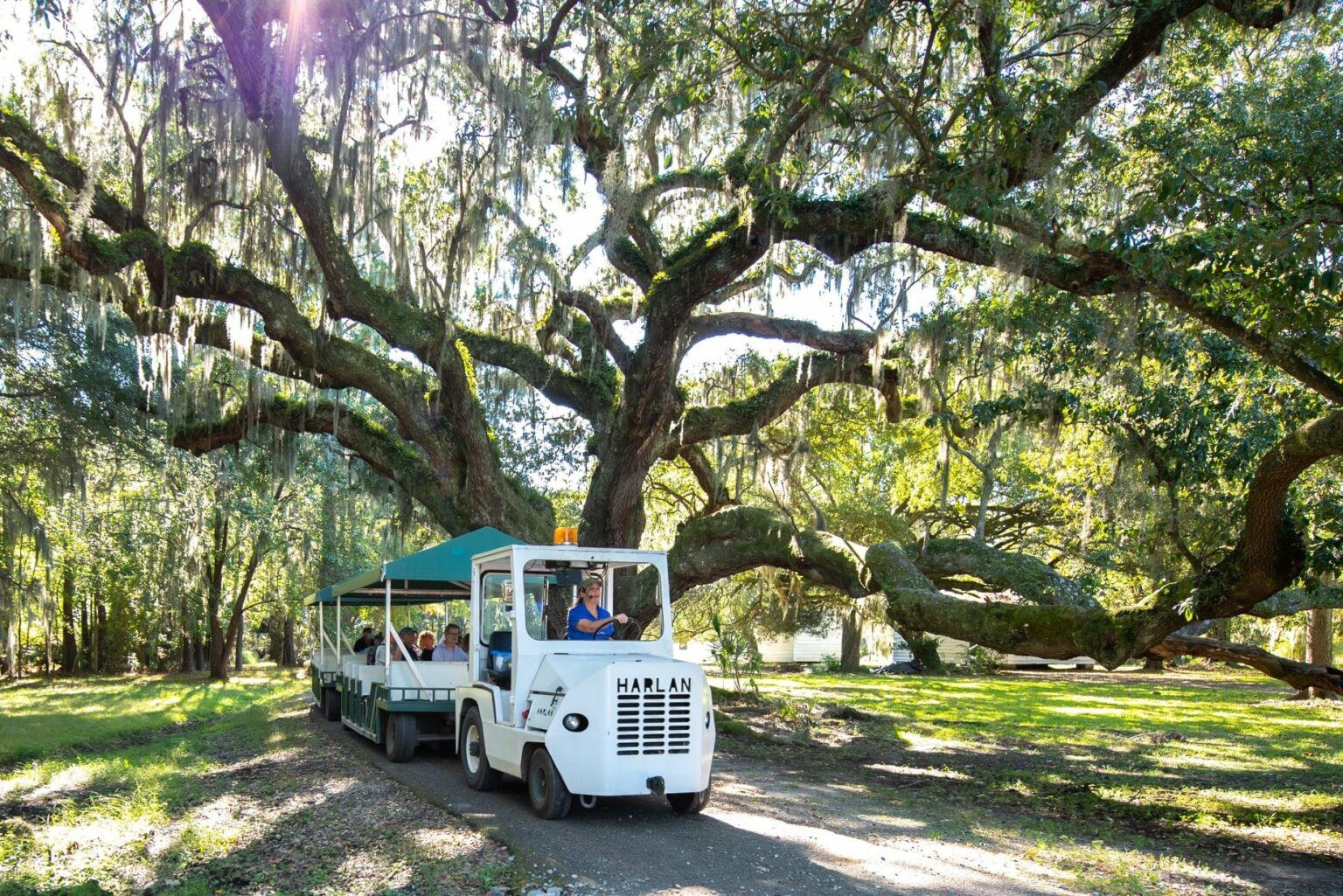 Guide To Magnolia Plantation: What To See & Do - The Geographical Cure