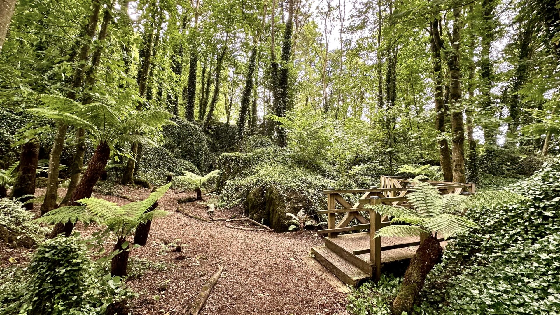 Guide To Blarney Castle & Gardens - The Geographical Cure