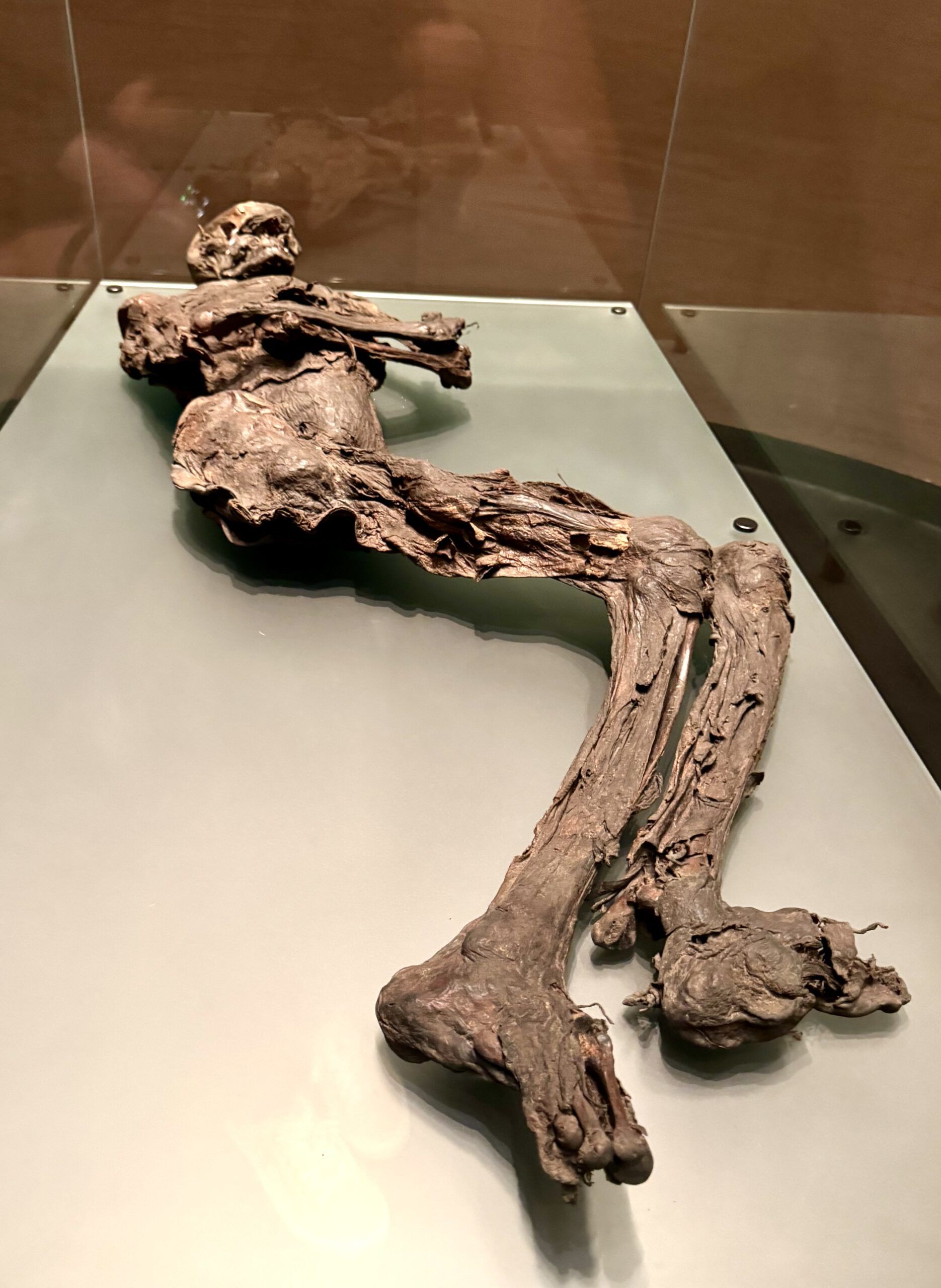 Unlocking Ireland’s Past: Guide To The National Museum of Ireland - The ...