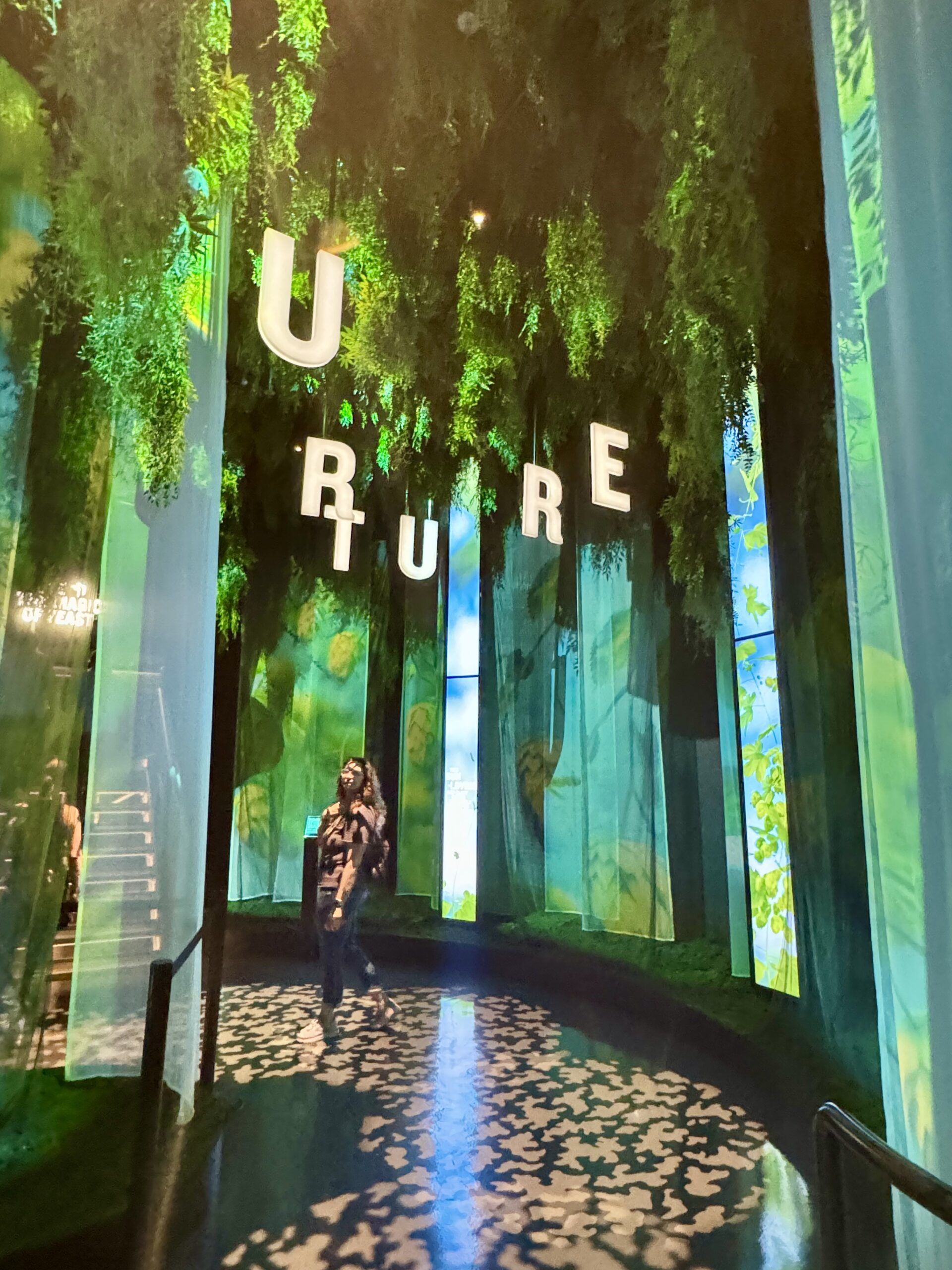 Guide To The Guinness Storehouse: Dublin’s Iconic Brewery Experience ...