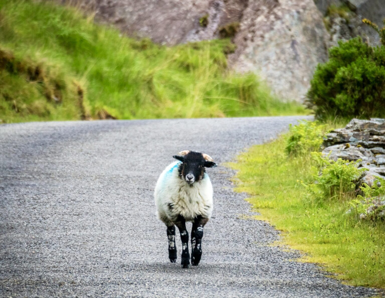 25 Tips For Driving In Ireland & Mistakes To Avoid - The Geographical Cure