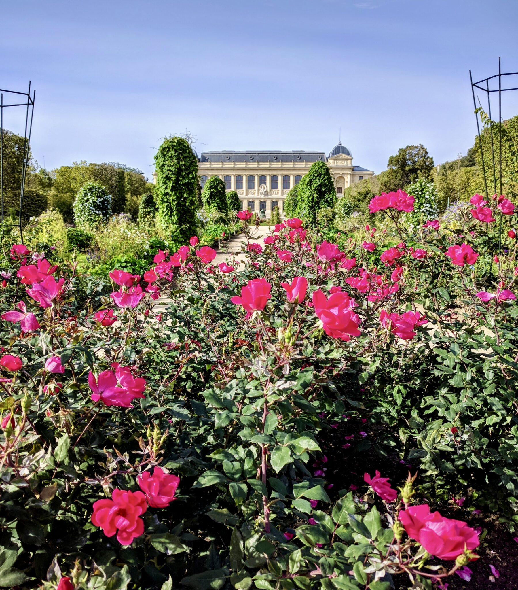 Paris in Bloom: The Best Spots to Enjoy Spring Flowers - The ...