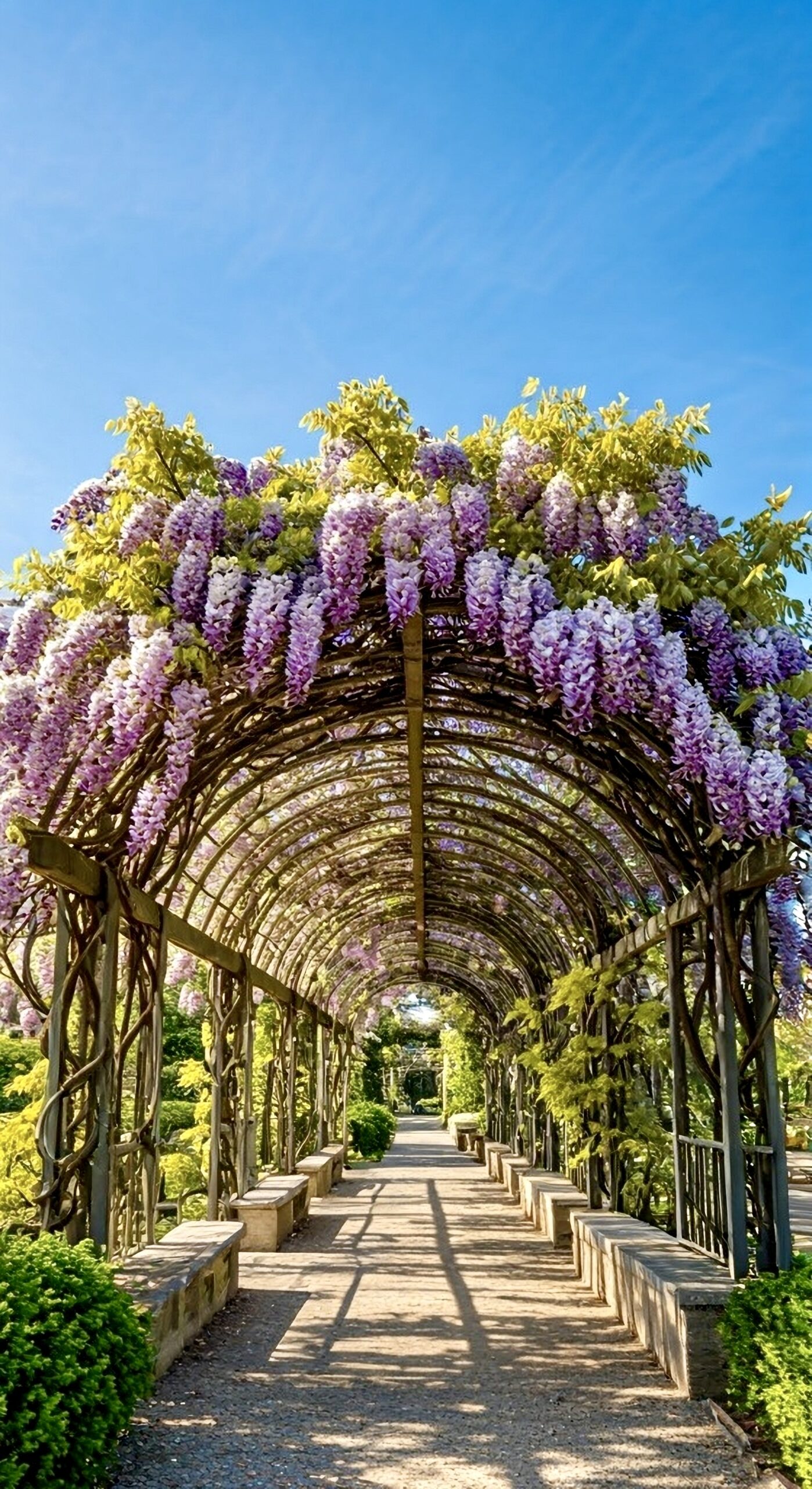 Paris in Bloom: The Best Spots to Enjoy Spring Flowers - The ...