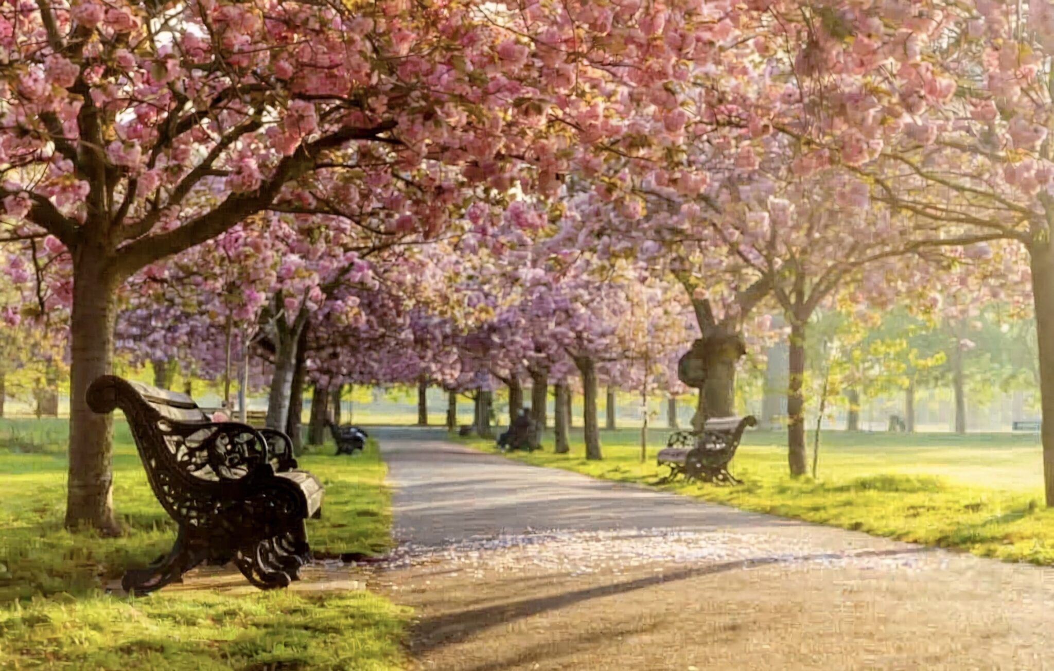 Cool & Unique Things To Do In London In Spring - The Geographical Cure