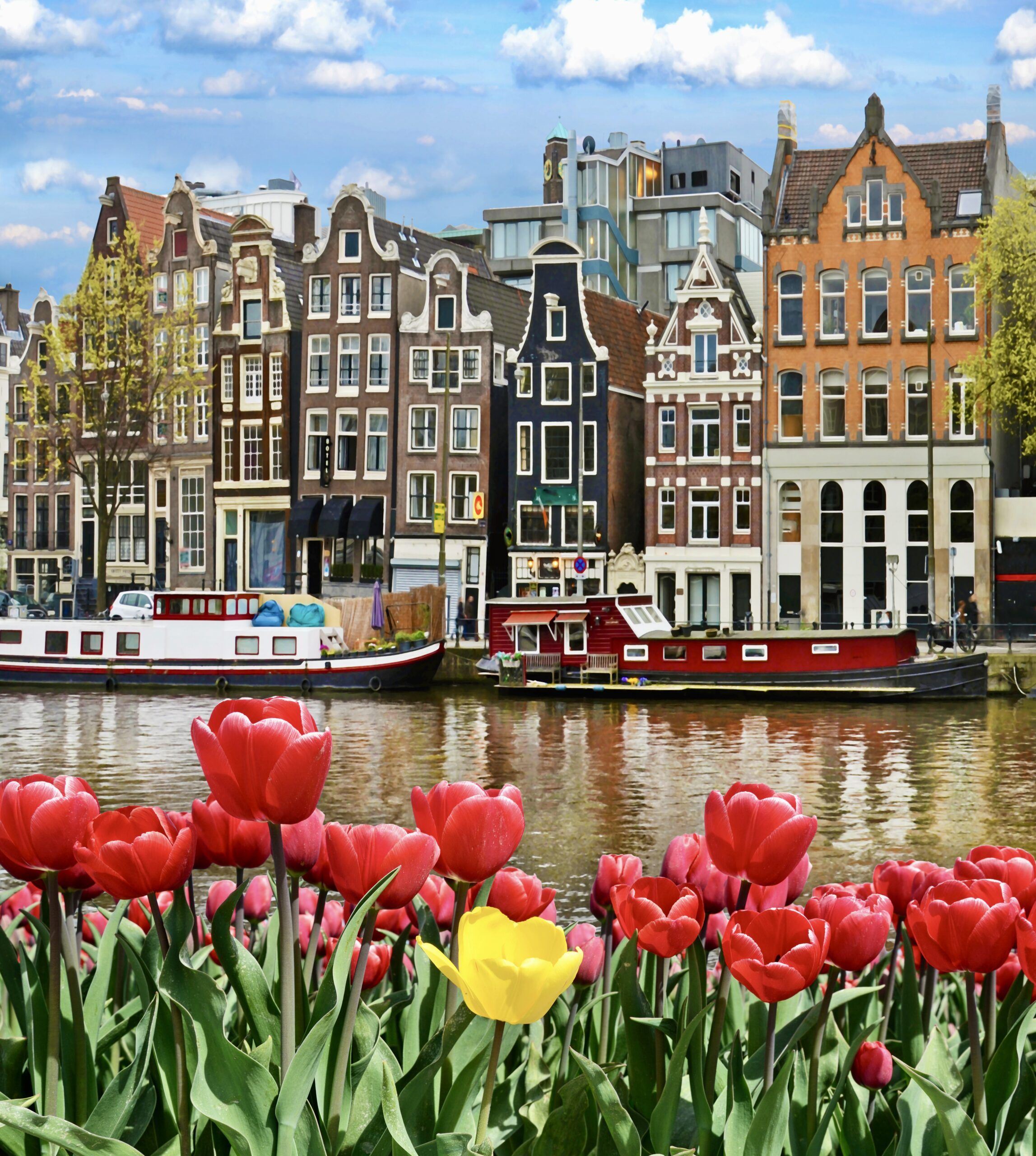 Smart Tips For Visiting The Netherlands: What To Know Before You Go ...